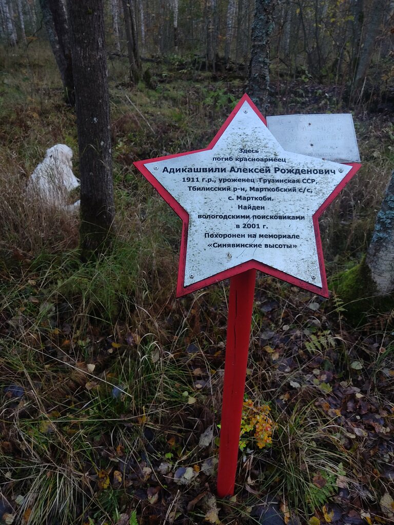 Unutulmaz olayların yeri Место обнаружения останков бойца Белова Григория Ивановича, Saint‑Petersburg ve Leningradskaya oblastı, foto