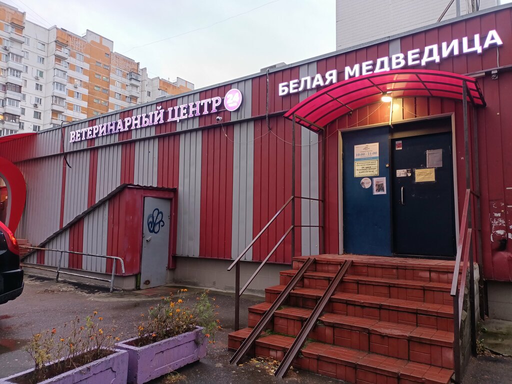 Evcil hayvan kuaförleri LIlo i Stich, Moskova, foto