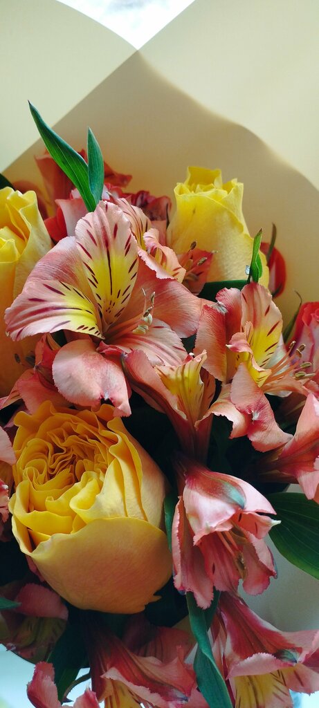 Çiçek teslimatı Amore Flore, Nefteyugansk, foto