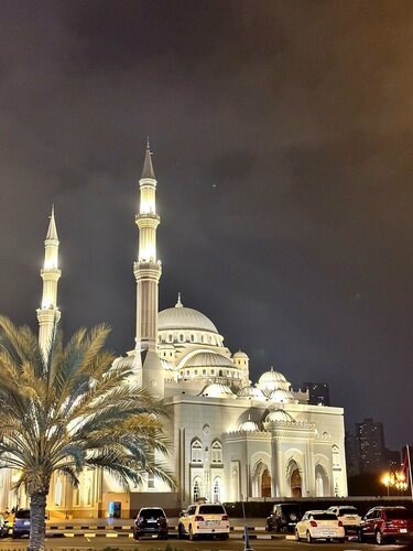 Al Sheikh Rashid Bin Saied Al Maktoum Mosque, mosque, 8, 14th Street ...