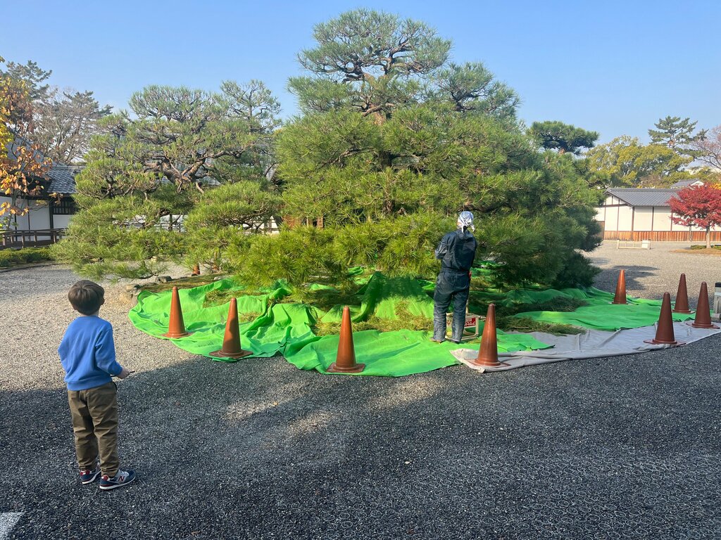 Müzeler ve sanat galerileri Kan'in-no-miya Residence, Kyoto, foto