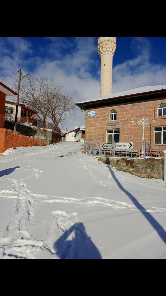 Cami Bucura Yenice Köyü Cami, Ilgaz, foto