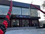 Cavalo (Ferghana Region, Kokand, Navbahor koʻchasi), motosiklet satışı  Kokand'dan