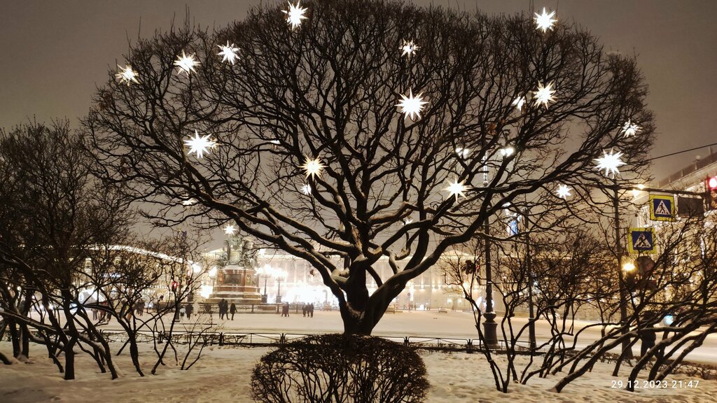 Bank Bench, Saint‑Petersburg, foto