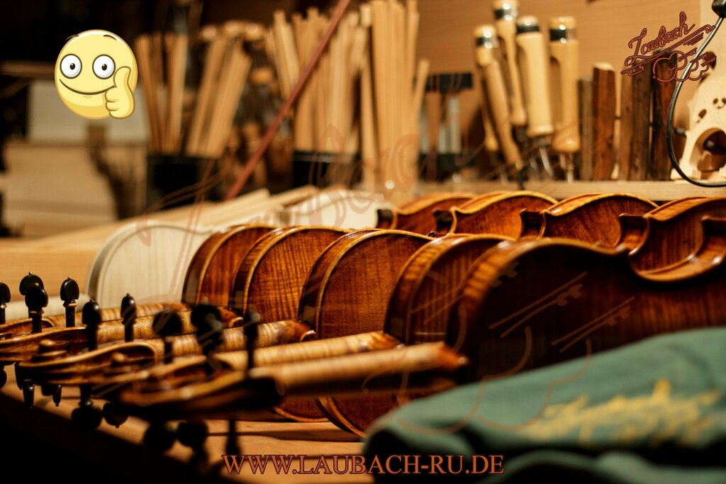 Enstrüman mağazaları Laubach Violins, Bavyera, foto