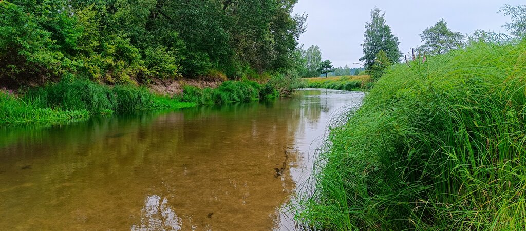 Plaj Пляж, Vladimirskaya oblastı, foto