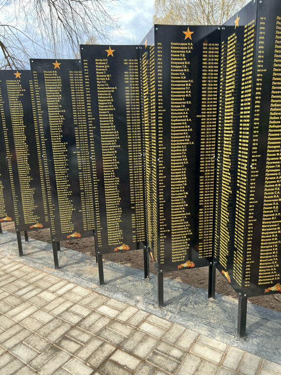 Anıt, heykel Братская могила, Novgorodskaya oblastı, foto