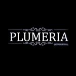 Plumeria (ulitsa 40 let Oktyabrya No:1), çiçekçiler  Kstovo'dan