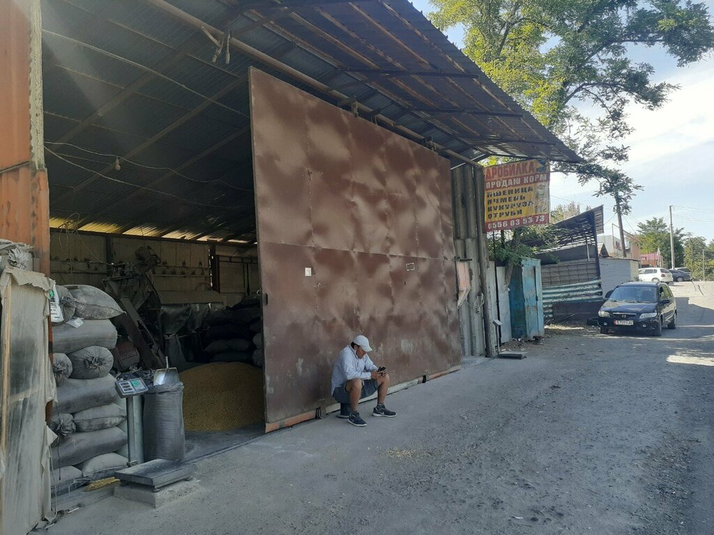 Yem ve yem katkı maddeleri Дробилка, Çuy ili, foto