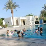 Coach Sport (9/1, Umm Suqeim Street, Dubai), spor kulüpleri