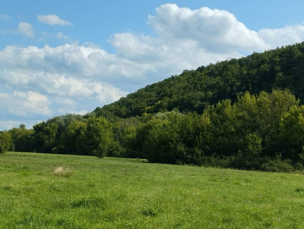 Orman урочище Симоново-Яблочное, Belgorodskaya oblastı, foto