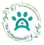 Dubrava (Dubravnaya street No:2Б, Privolzhskiy City Administrative District, mikrorayon Gorki-3), veteriner klinikleri  Kazan'dan