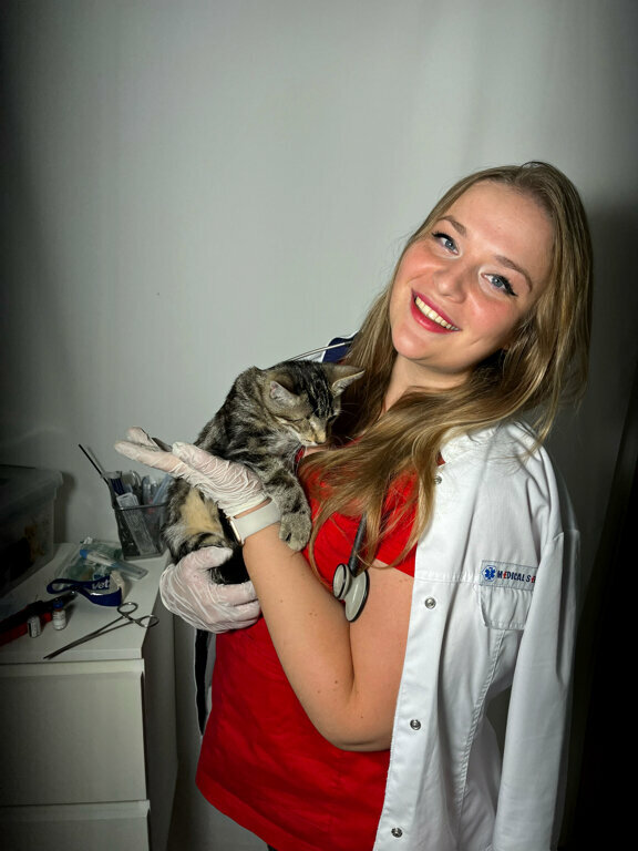 Veteriner klinikleri Home Pets, Moskova ve Moskovskaya oblastı, foto