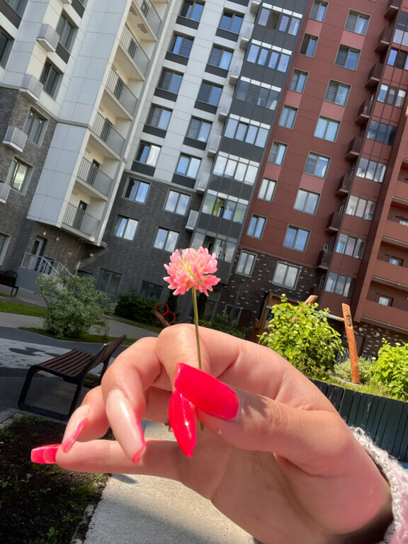 Güzellik salonu Рок-н-ролл, Moskova ve Moskovskaya oblastı, foto