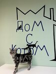 Дом с Котом (Bondarenko Street No:7), pet otel  Kazan'dan