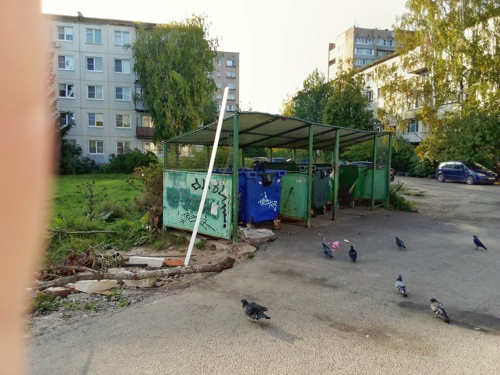 Çöp alanları Trash and garbage disposal area, Velikiy Novgorod, foto