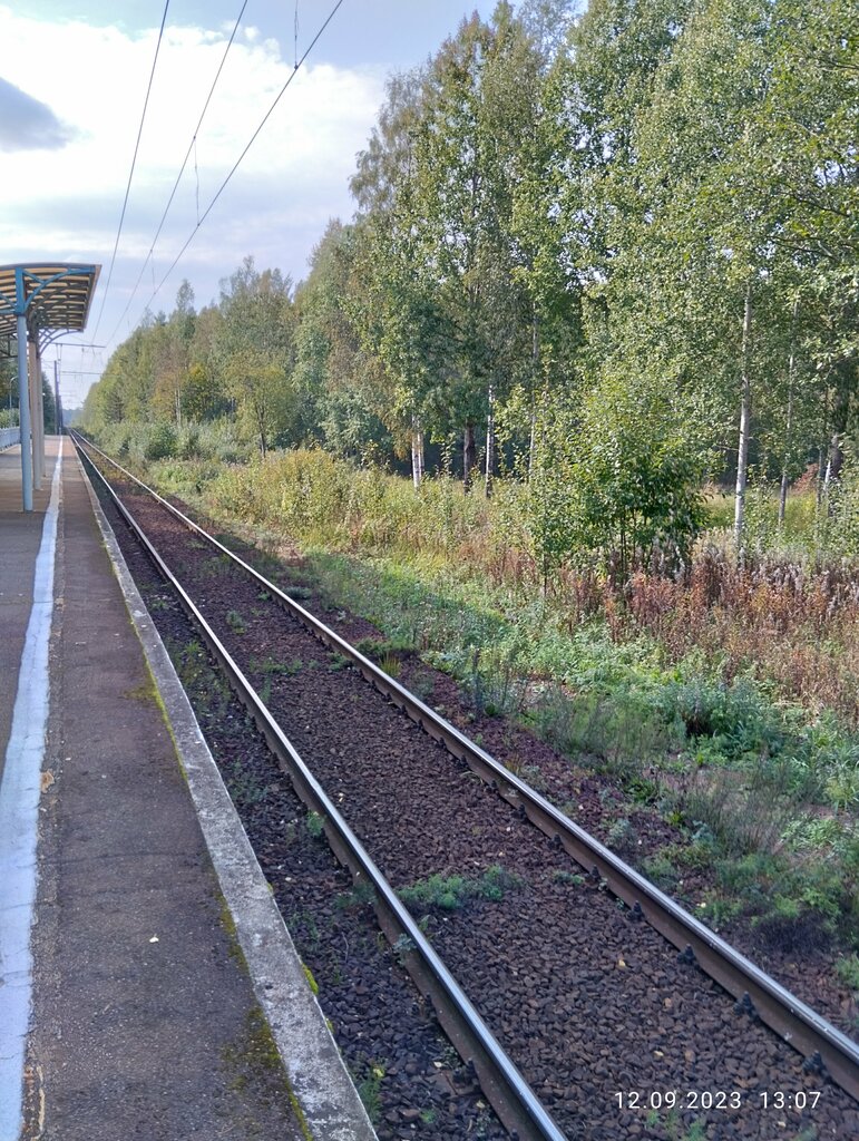 Tren istasyonu остановочный пункт Болотистое, Saint‑Petersburg ve Leningradskaya oblastı, foto