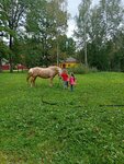 Конный двор Счастливая лошадь (No:13, derevnya Razuvayka), at ve binicilik kulüpleri  Pskovskaya oblastından
