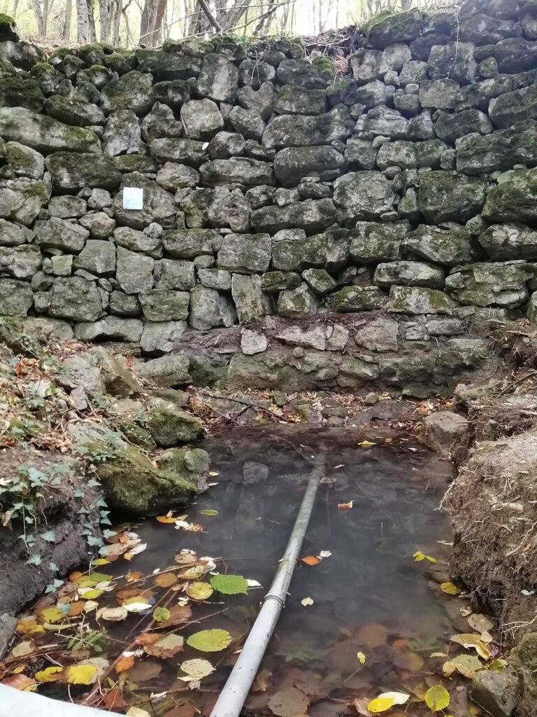 Pınar, çay Источник Донгуз-Чокрак, Sevastopol, foto