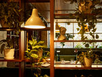 Ratatuy (Tatischeva Street No:77), restoran  Yekaterinburg'dan