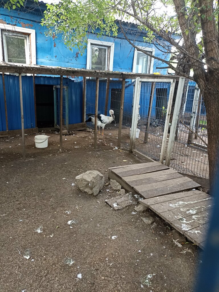 Hayvan muhafazaları Вольеры животных, Blagoveshchensk, foto