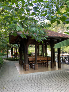 Gnezdo sovy (Krasnodar Territory, Sochi Resort City Urban District, A-149, 13-y kilometr), kafe  Soçi'den