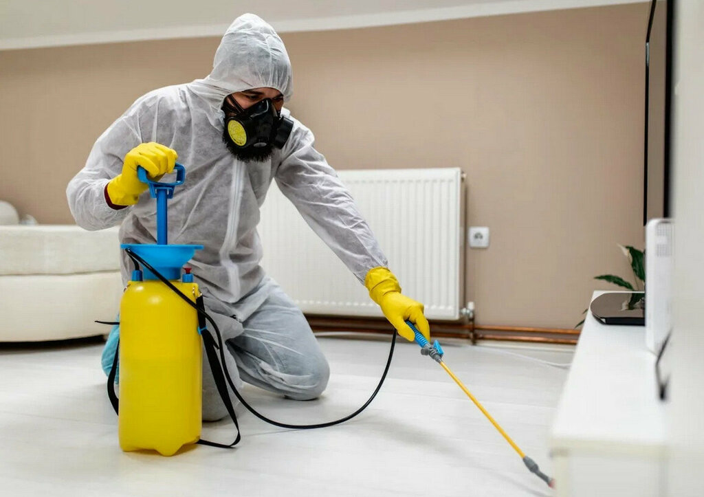 Haşere ilaçlama firmaları Sredstva dezinfekcii, Moskova, foto