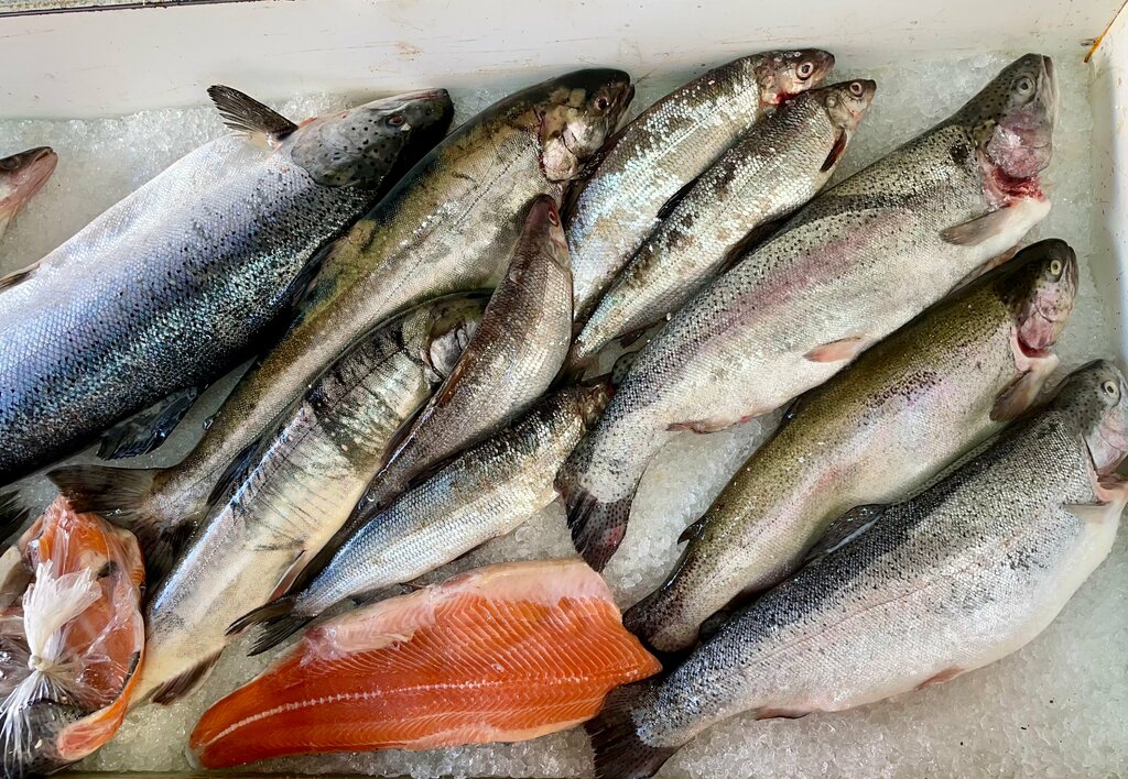 Balık ve deniz ürünleri Свежая рыба, Saint‑Petersburg ve Leningradskaya oblastı, foto