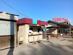 Южный (Yuzhnoye Highway No:1А/2), otobüs biletleri  Samara'dan
