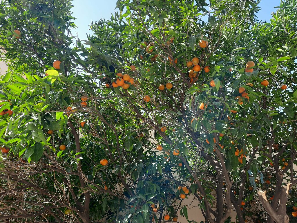 Kültür ve eğlence parkları Özgecan Aslan Parkı, Silifke, foto