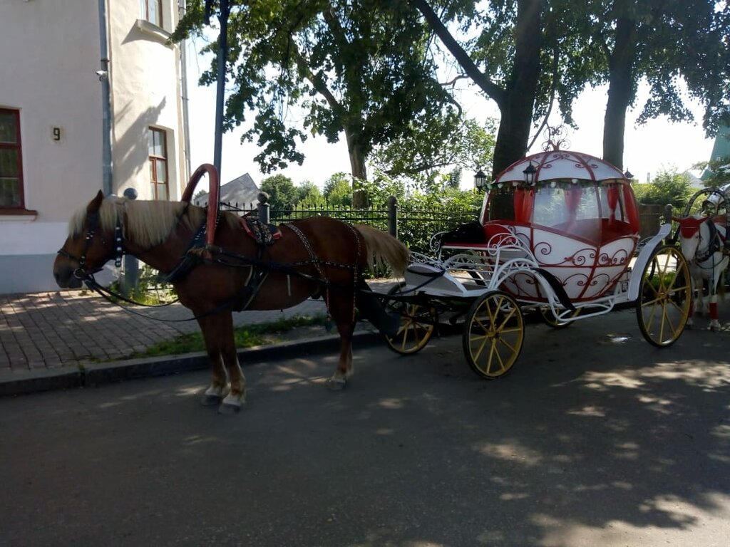 Konuk evi Podvorye Yamshchika, Vladimirskaya oblastı, foto