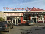 Salon tsvetov Orkhideya (Vokzalnaya Street No:109/1), çiçekçiler  Novokuznetsk'ten