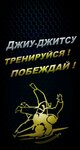 Всемирная Федерация Джиу-джитсу и Кобудо (Karla Marksa Avenue No:26/3), spor kulüpleri  Novosibirsk'ten