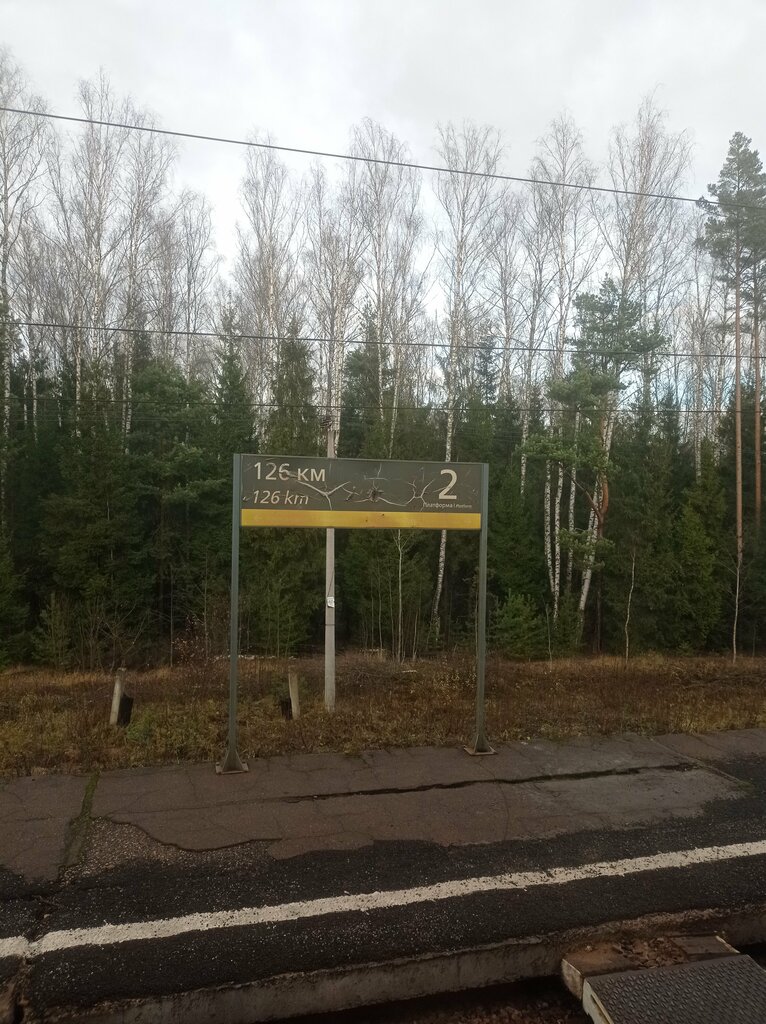 Tren istasyonu остановочный пункт Зеленцино, Vladimirskaya oblastı, foto