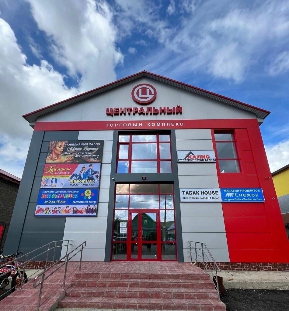 Çatı ve çatı materyalleri Halis, Başkurdistan, foto
