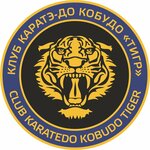 Tiger (No:3Б, posyolok gorodskogo tipa Andreyevka), spor kulüpleri  Moskova ve Moskovskaya oblastından