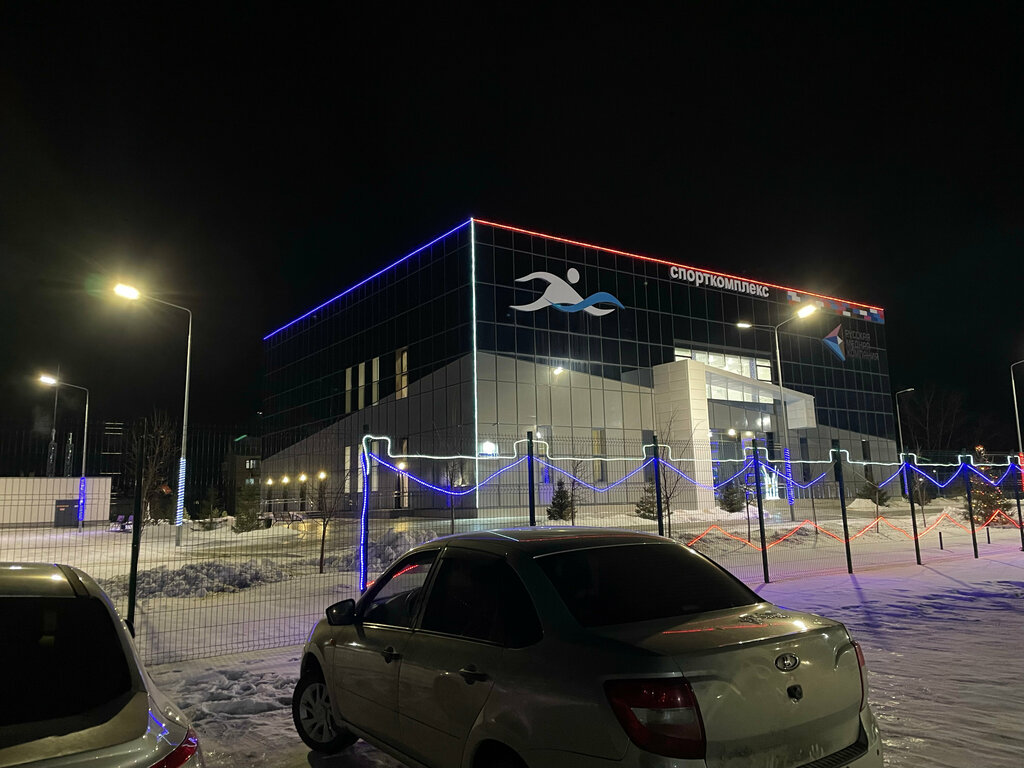 Çok amaçlı spor tesisleri Физкультурно-оздоровительный комплекс АО Михеевский ГОК, Çeliabinskaya oblastı, foto