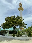 Jetty  (Kaafu atoll, Maafushi, Maafushi island), i̇skele