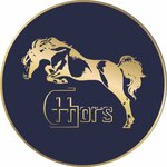 GHors (Sredniy Vasilyevskogo Ostrova Avenue No:33), etkinlik organizasyonu  Saint‑Petersburg'dan