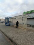 Vulica Francyska Skaryny (Francyska Skaryny Street No:17А), toplu taşıma durağı  Baranavichy'den