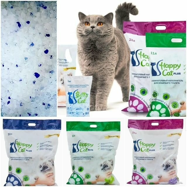 Petshop Zooworld, Astana, foto