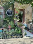Vıp gul salonu (Sеmеd Vurgun Street No:148C), çiçekçiler  Bakü'den