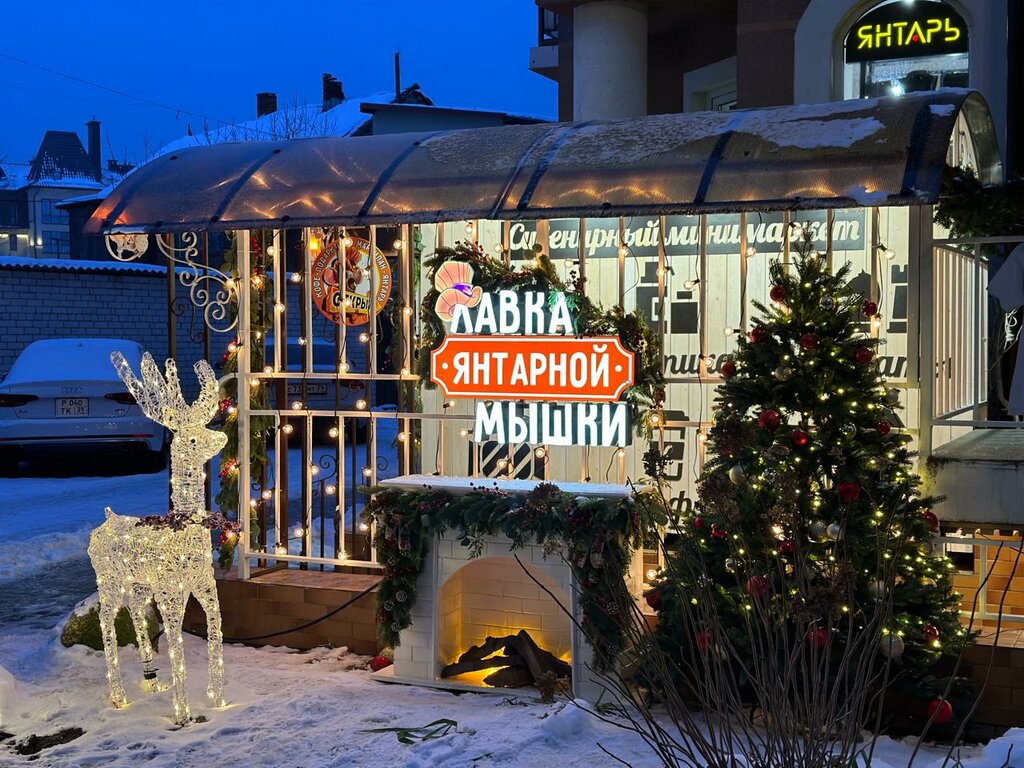 Hediyelik eşya mağazaları Лавка Янтарной Мышки, Zelenogradsk, foto