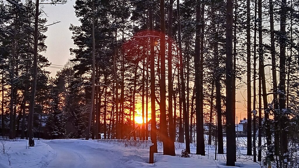 Konuk evi Гостевой дом с медведем на Ладоге, Saint‑Petersburg ve Leningradskaya oblastı, foto