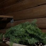 Greenwood (Soltústik Qazaqstan oblysy, Qyzyljar aýdany), tatil köyleri  Kuzey Kazakistan eyaletinden