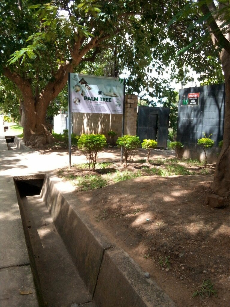 Masaj salonları Palm tree, Lusaka, foto