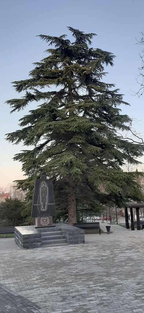 Anıt, heykel Женщинам-фронтовичкам, Sevastopol, foto