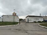 Радуга 2 (Maksima Gorkaga Street No:126Гк622, Grodna), garajlar  Grodno'dan