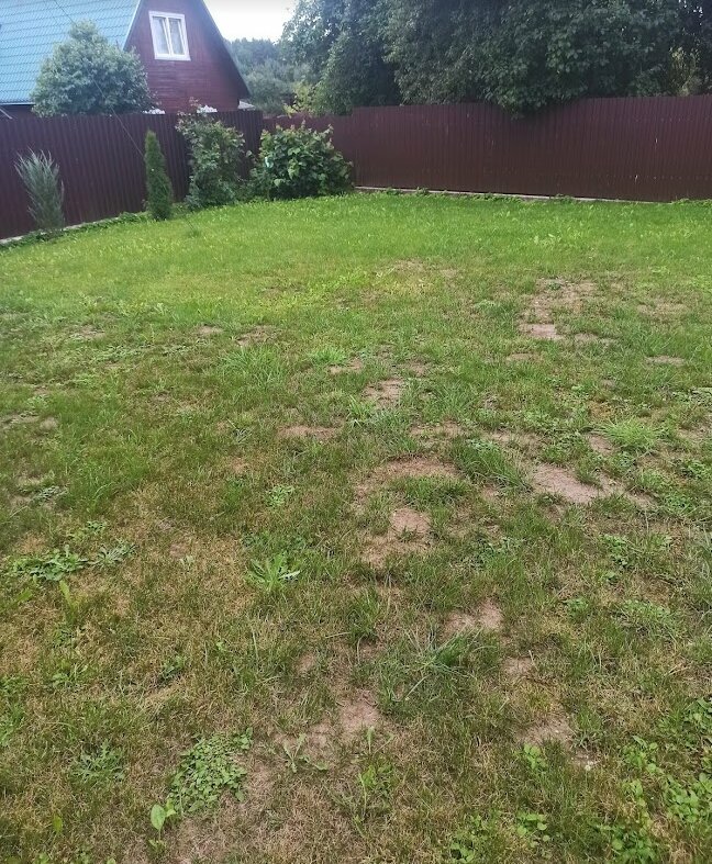 Çiftlik tatili Агроусадьба Ялинка, Grodnenskaya oblastı, foto