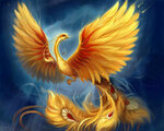 Phoenix (Pervomayskiy Avenue No:42/2), muhasebe kursları  Riazan'dan
